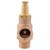 Pressure Relief Valves - Valves - The Home Depot