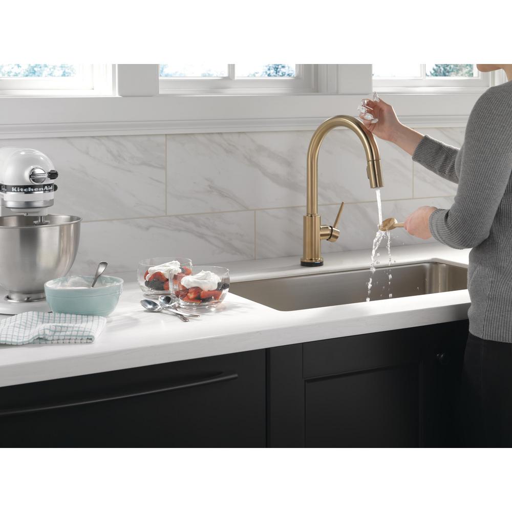 Delta Trinsic Kitchen Faucet Champagne Bronze | Besto Blog