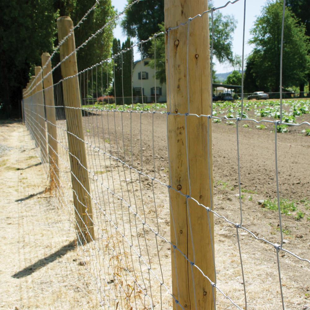 3 wire fence for your style of play at the cheapest prices