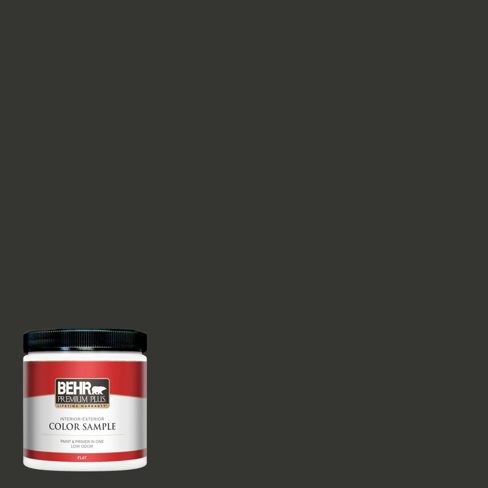 Raven Black - Paint Colors - Paint - The Home Depot