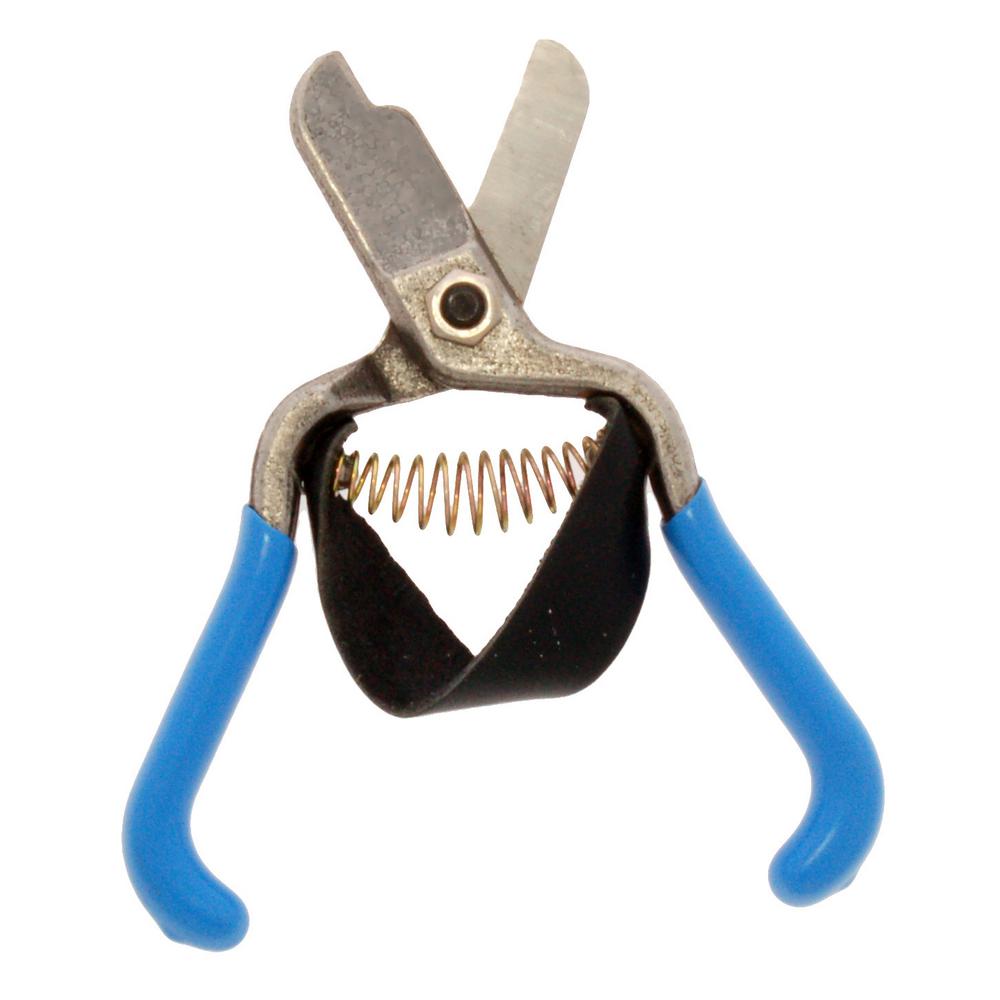 5 in. L Forged Stainless Steel Fuji/Orange Fruit Clippers with Strap ...