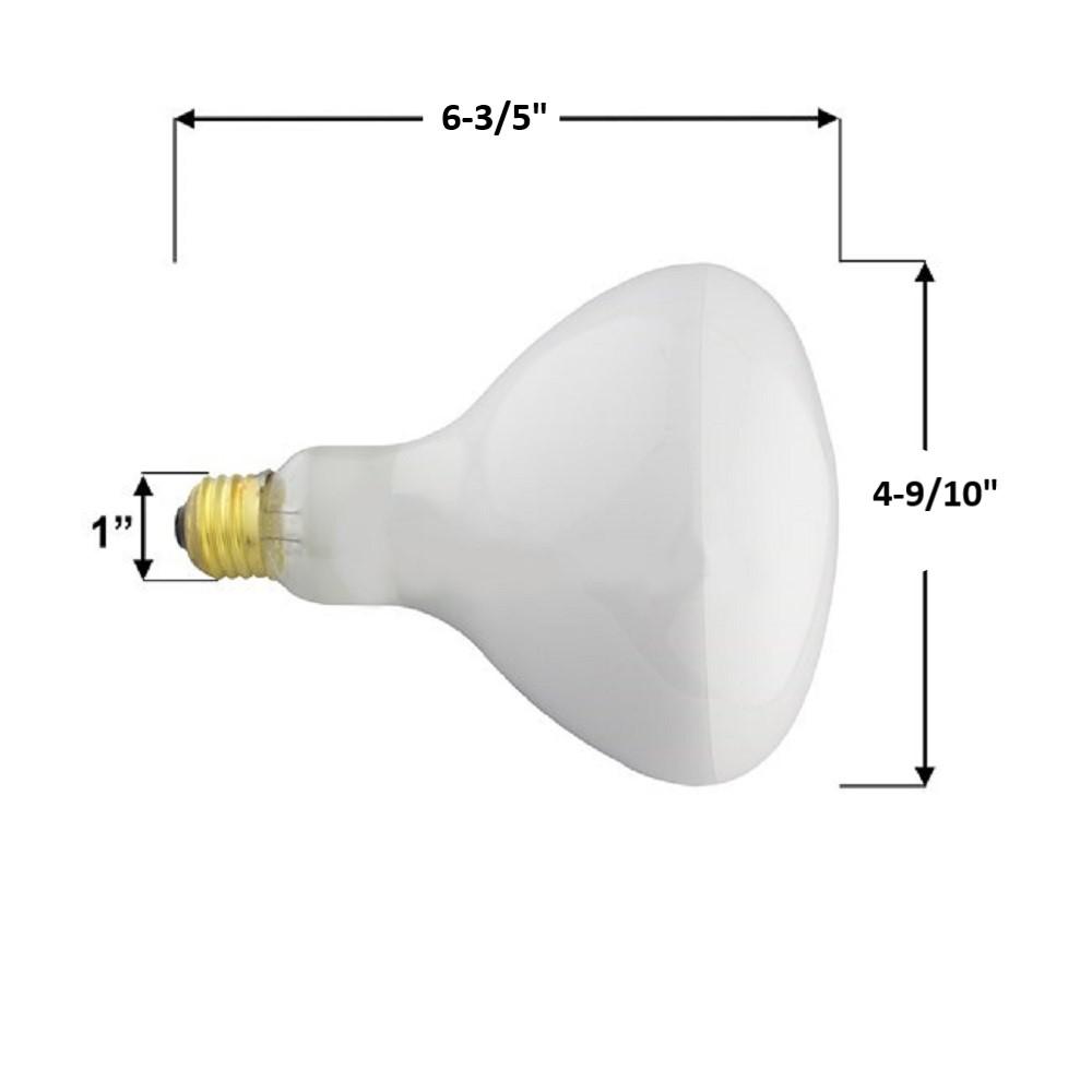 R40 Light Bulb Dimensions | Shelly Lighting