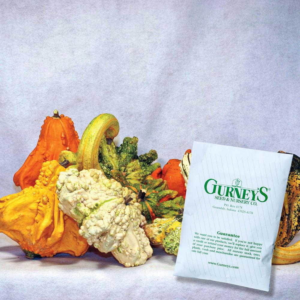 Gurney's Gourd Gremlins Seeds (10 Seed Packet)-64599 - The Home Depot