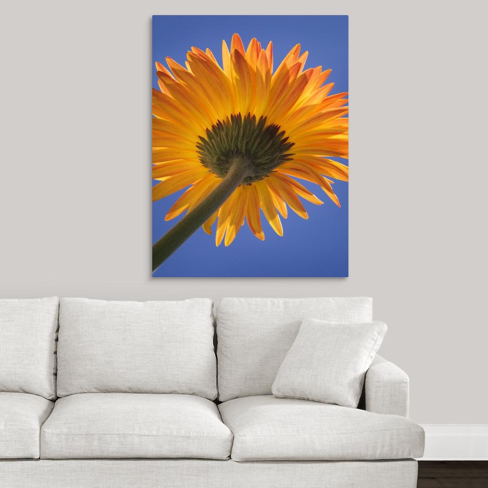 PTM Images 15 in. x 15 in. ''Yellow Daisy II'' Printed Canvas Wall Art ...