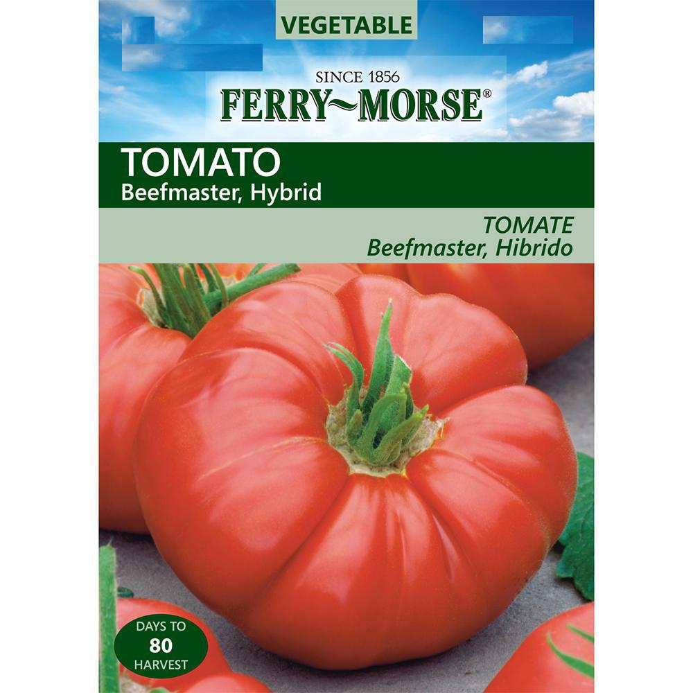 Beefmaster Tomato