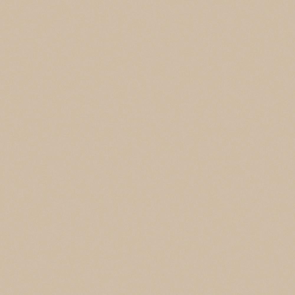 Wilsonart 5 ft. x 10 ft. Laminate Sheet in Beige with Standard Matte ...