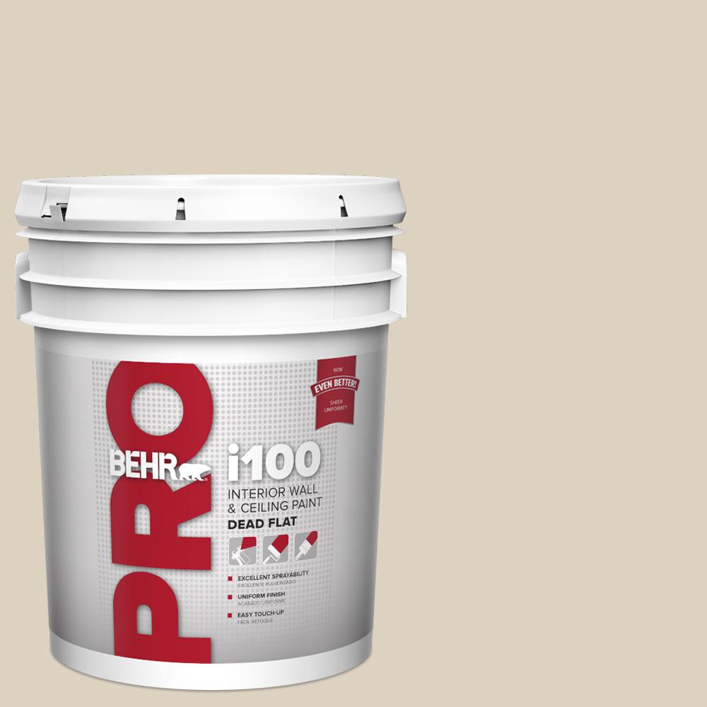 BEHR PRO 5 gal. #PPU7-10 Roman Plaster Dead Flat Interior Paint-PR10505 ...