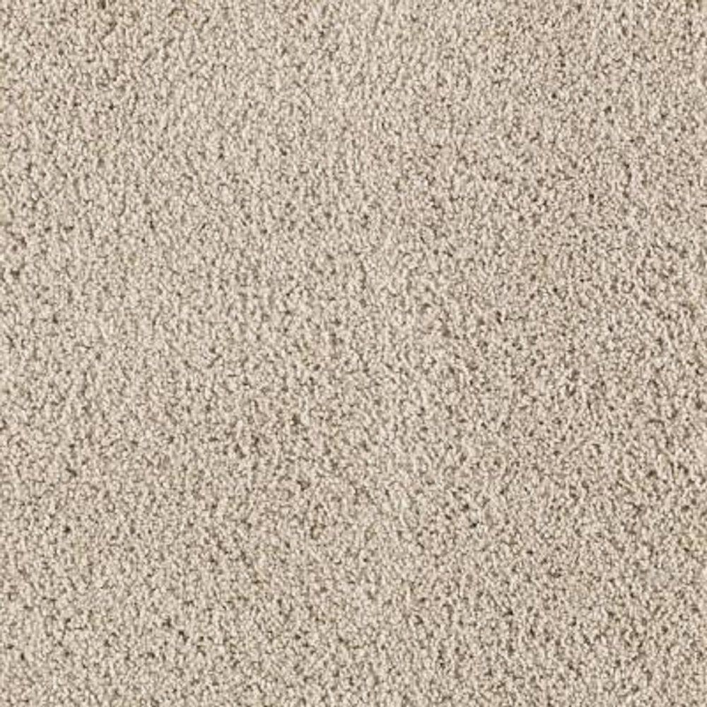 Lifeproof Carpet Sample - Ashcraft II - Color Shell Tint Texture 8 in ...