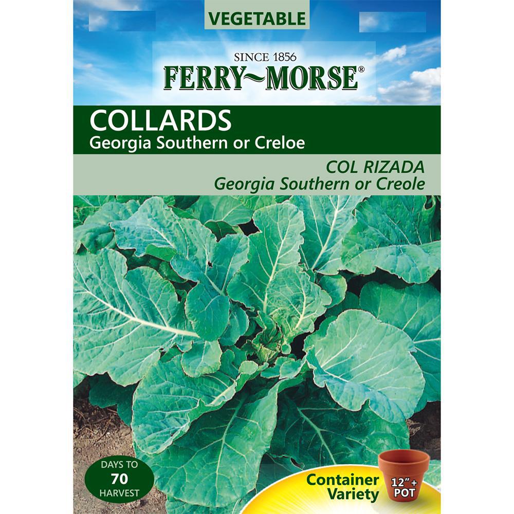 Ferry-Morse Collards Georgia Southern Creole Seed-7243 - The Home Depot