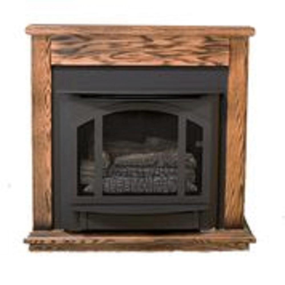 BUCK STOVE 32,000 BTU Vent Free LP Gas Stove with Legs and Blower-NV T ...