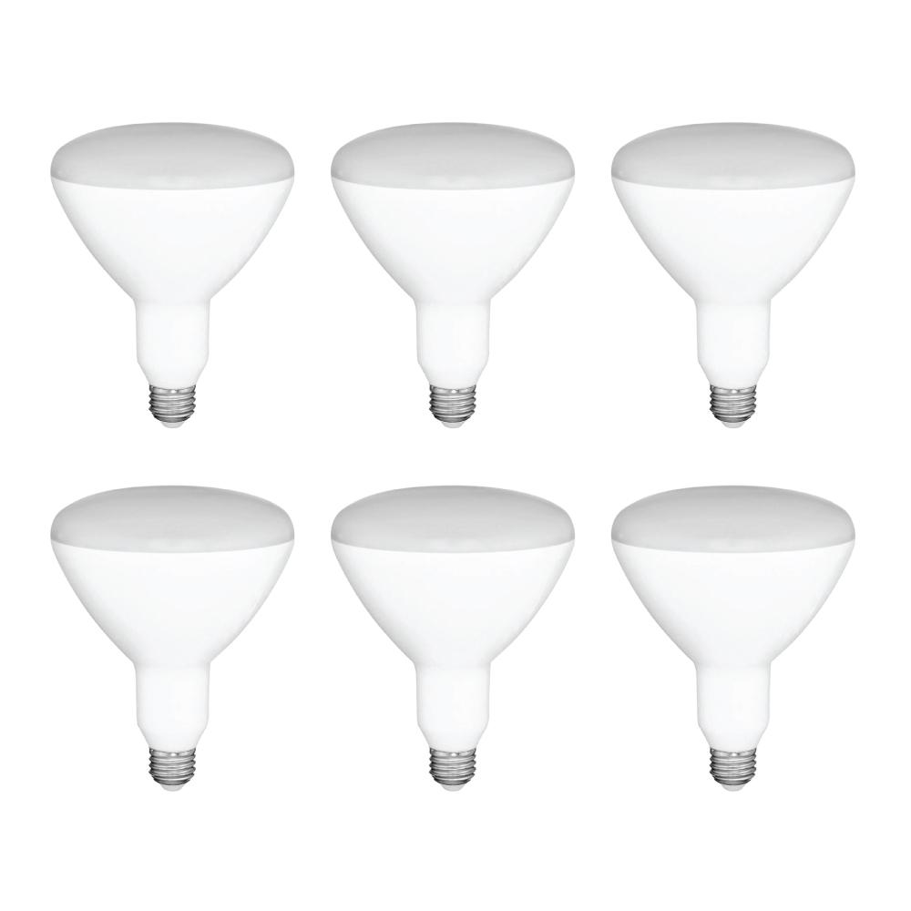 65-Watt Equivalent BR30 Dimmable LED Light Bulb Daylight (6-Pack)-FG ...