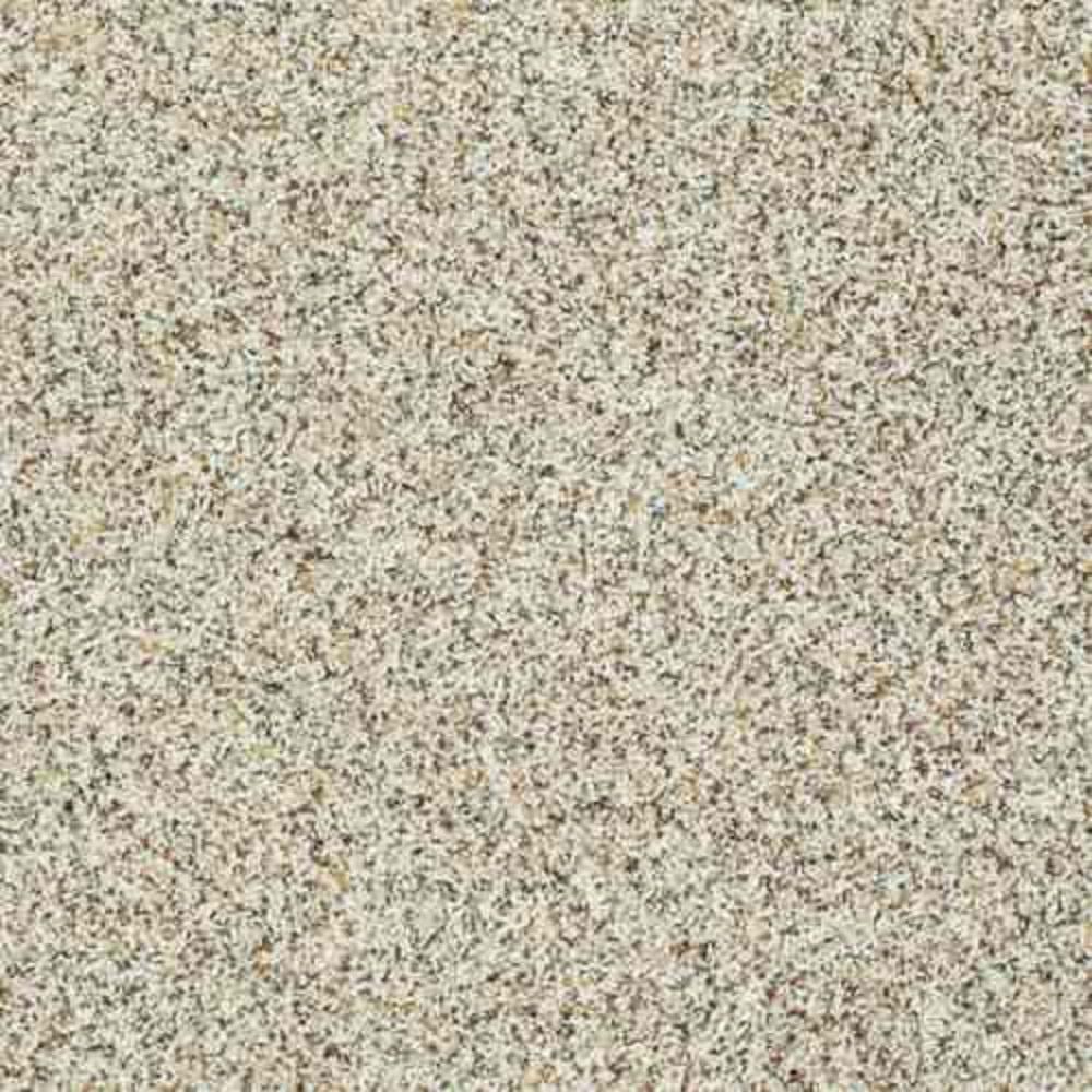 Home Decorators Collection Carpet Sample - Great Moments II (S) - Color ...