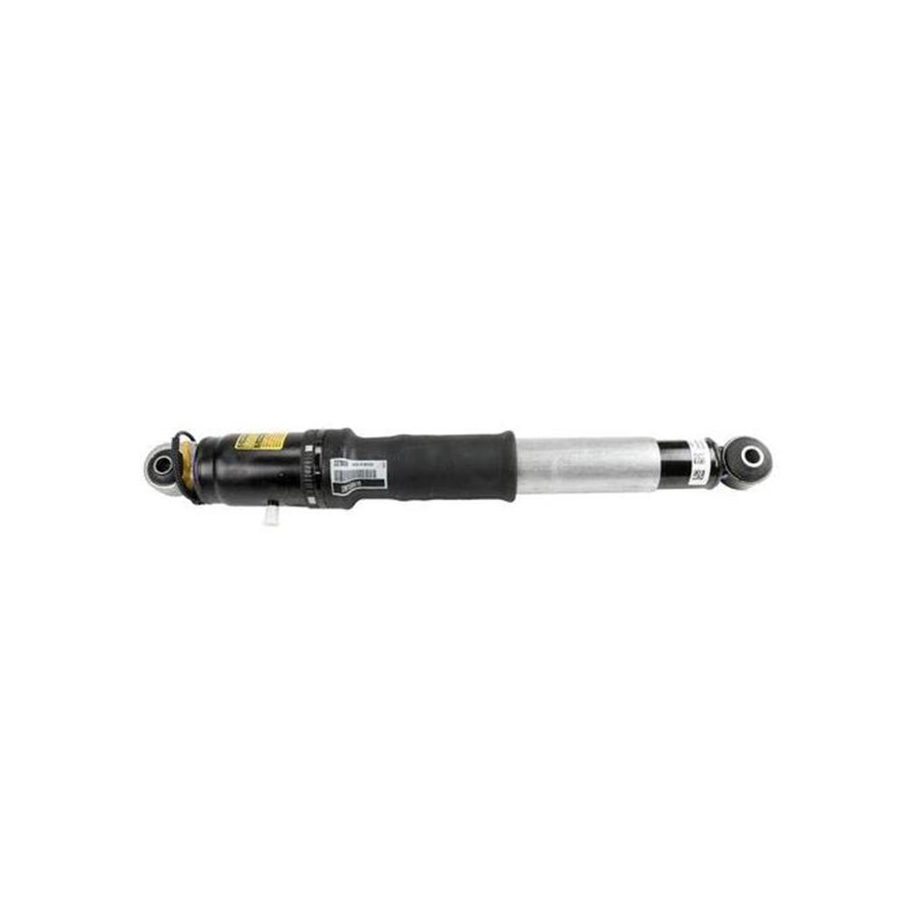 ACDelco Shock Absorber - Rear-84176675 - The Home Depot