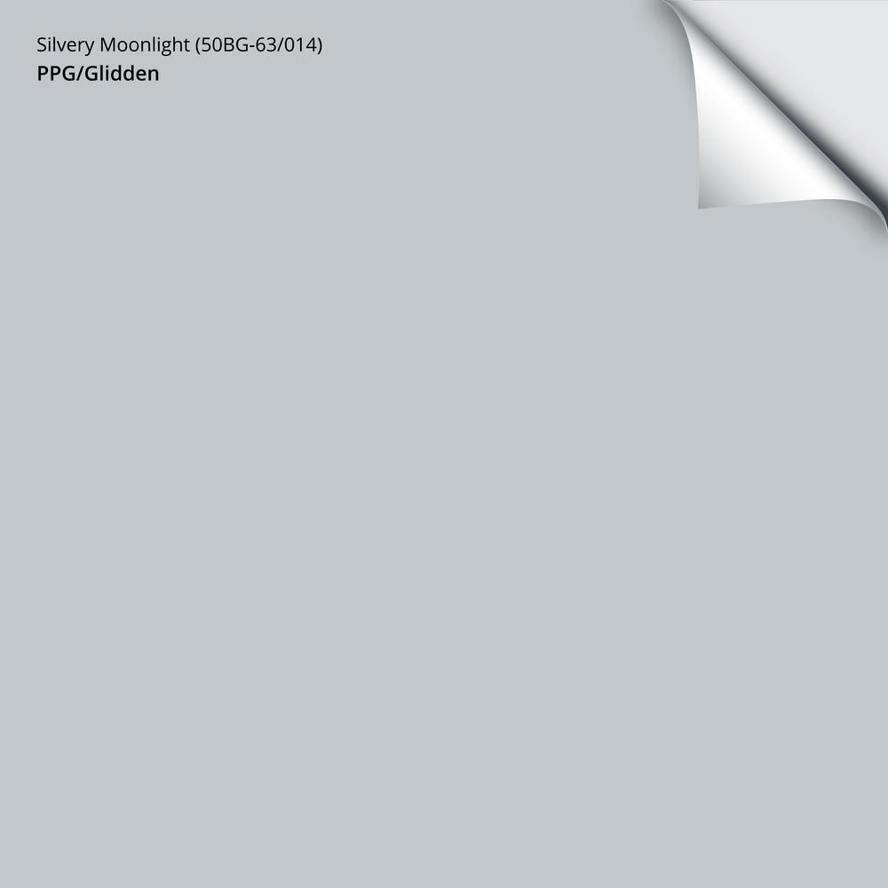 Samplize Match of PPG/Glidden Silvery Moonlight (50BG-63/014): 12 in. x ...