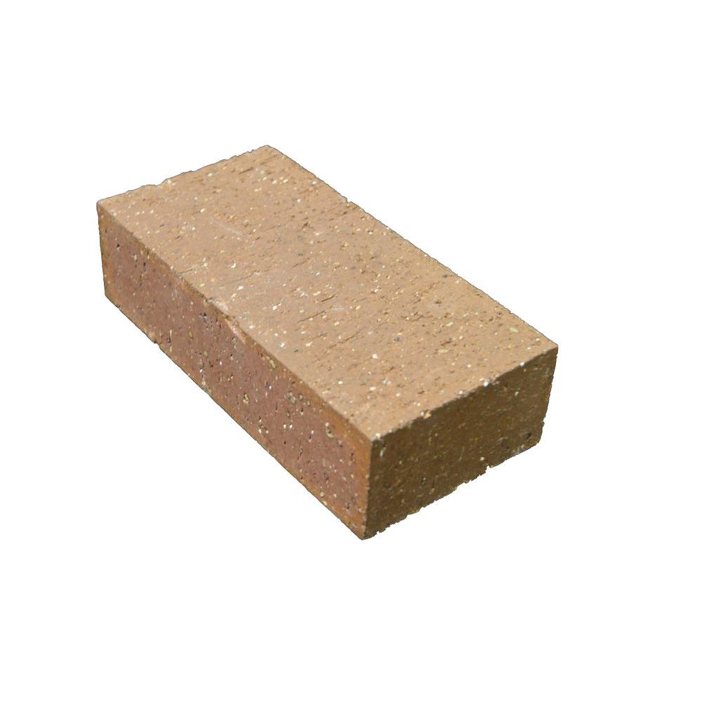 INTERSTATE BRICK 2-1/2 in. x 8 in. x 4 in. True Paver Baja Select ...