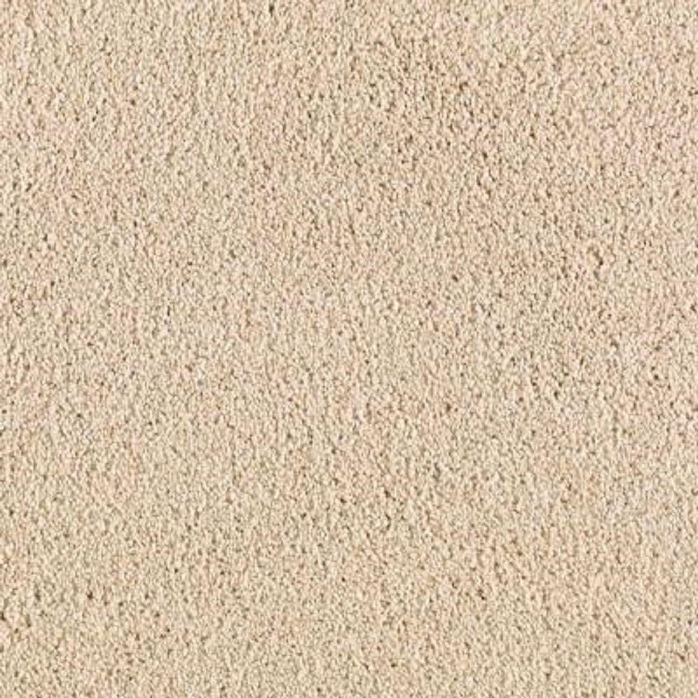 LifeProof Carpet Sample - Ambrosina II - Color Antique Ivory Texture 8 ...