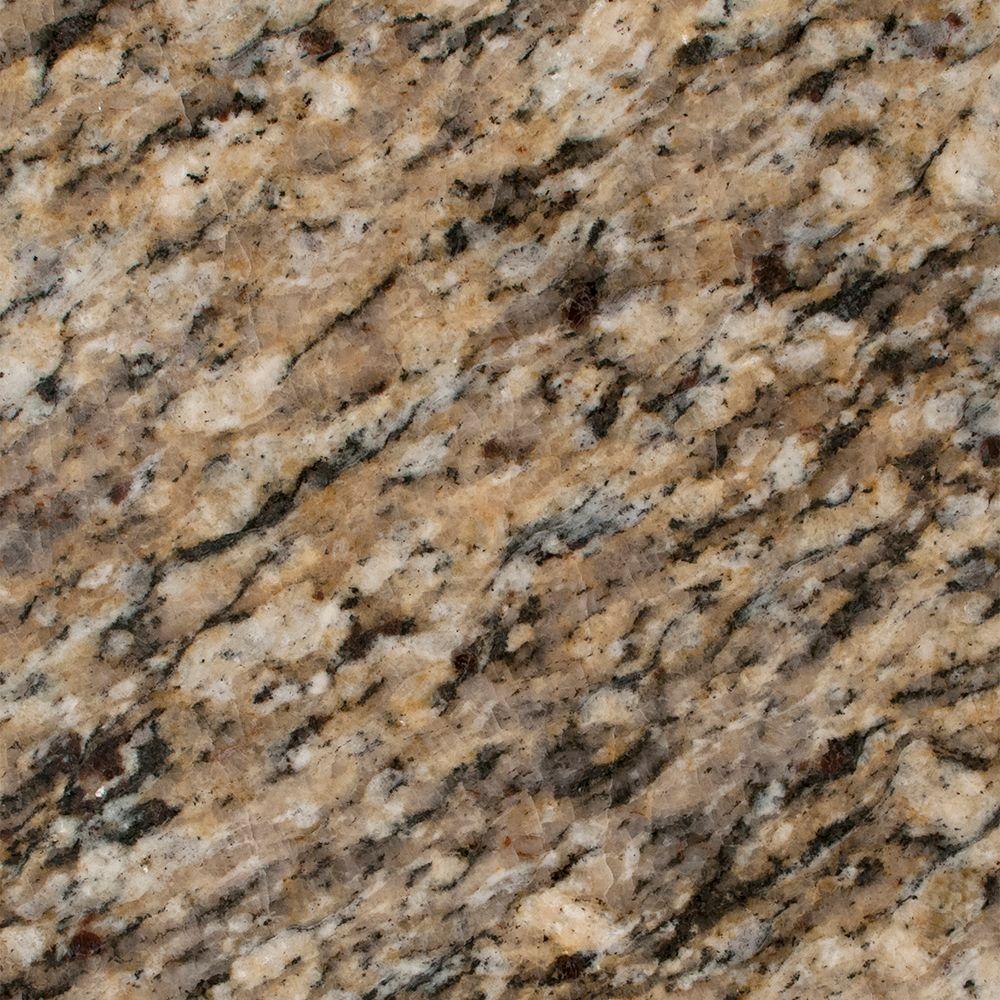 Stonemark 3 in. x 3 in. Granite Countertop Sample in Bianco Antico-DT ...