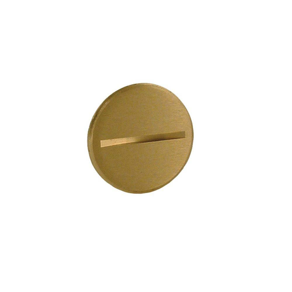 RACO 1 in. Crowned Slotted Brass Plug-6225 - The Home Depot