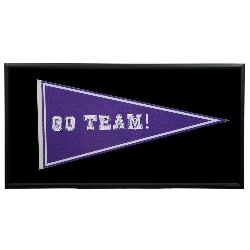 Pinnacle Pennant Display Case 13.7 in. x 7.7 in. Black Picture Frame ...