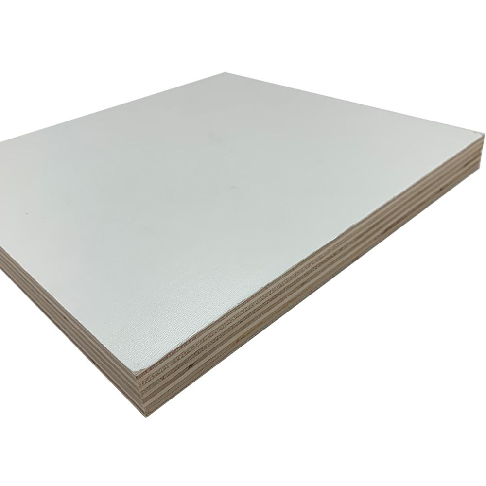 Swaner Hardwood 3/4 in. x 2 ft. x 8 ft. UV Prefinished White Project ...