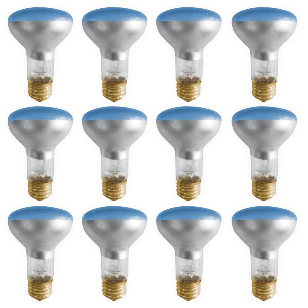 Bulbrite 50-Watt R20 Plant Growth Dimmable Incandescent Light Bulb (12 ...