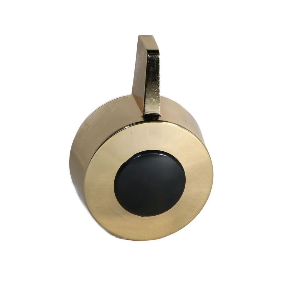 JAG PLUMBING PRODUCTS Danfoss Tempress Shower Handle in Polished Brass ...