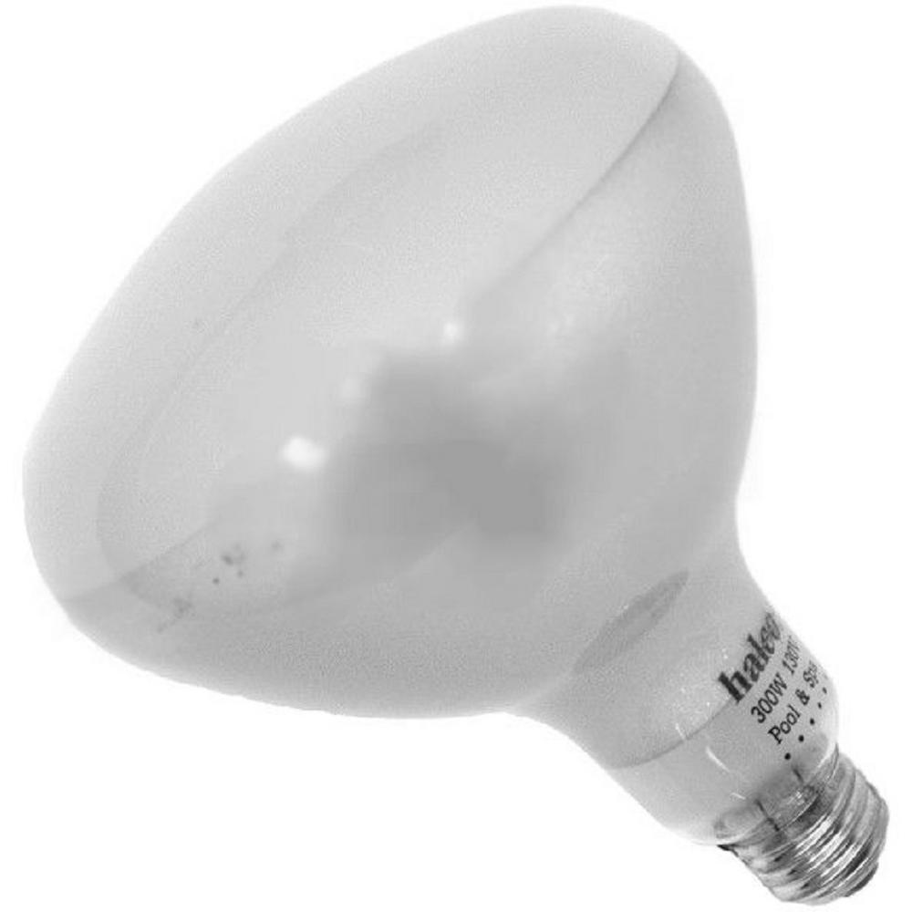 Halco Lighting Technologies Halco 300-Watt R40 Flood Specialty Pool Spa ... Halco Lighting Technologies Halco 300-Watt R40 Flood Specialty Pool Spa ...
