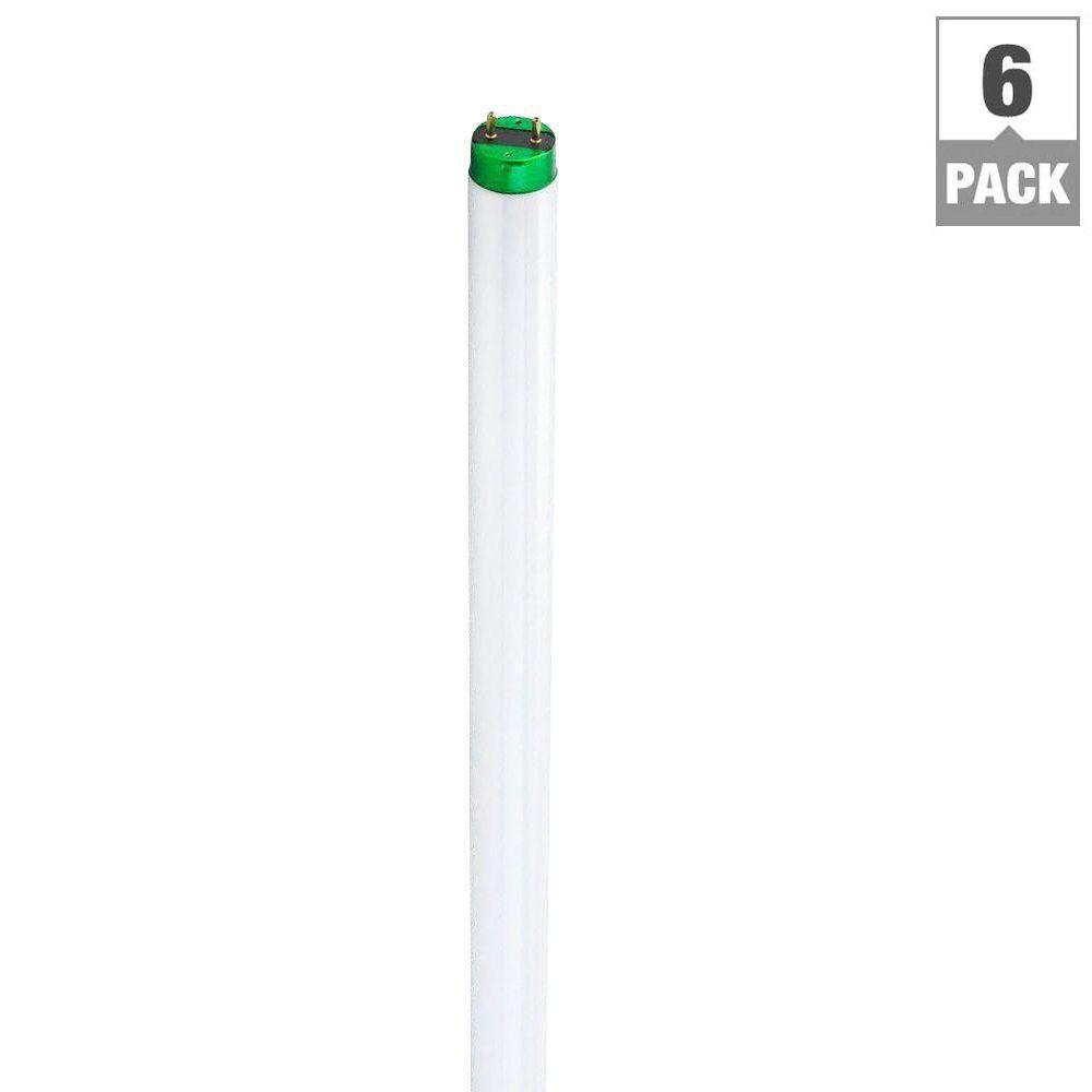 Philips 15-Watt 18 in. Linear T8 ALTO Fluorescent Tube Light Bulb ...