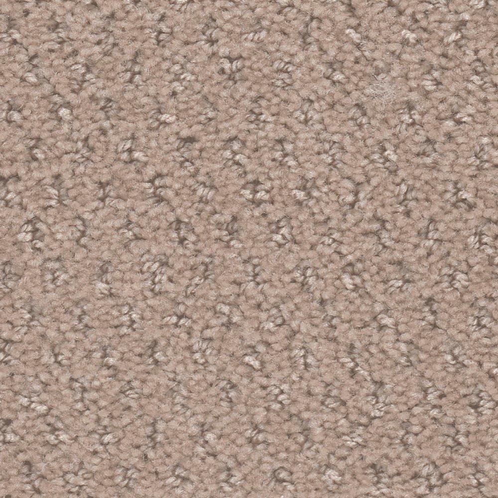 Trafficmaster Carpet