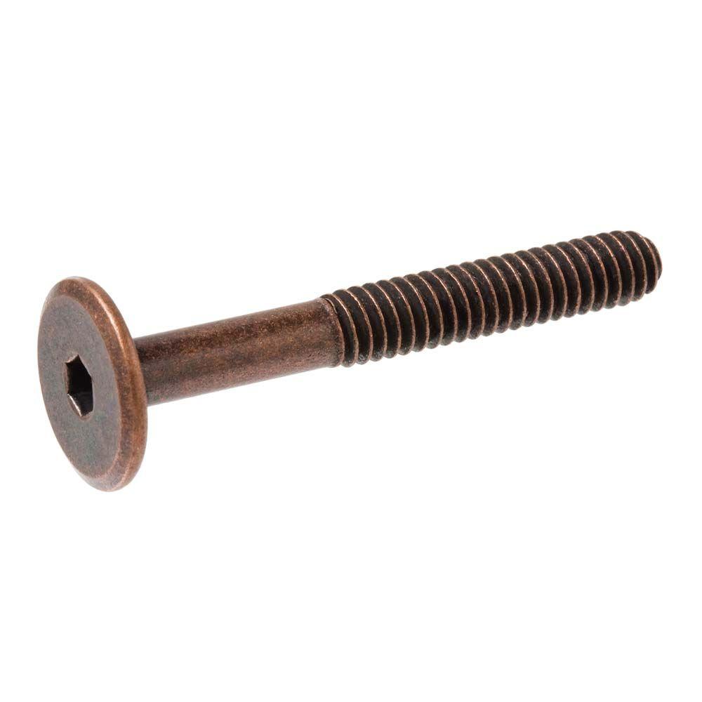 Everbilt 1 4 In X 2 3 8 In Antique Brass Connecting Bolt 817868 The