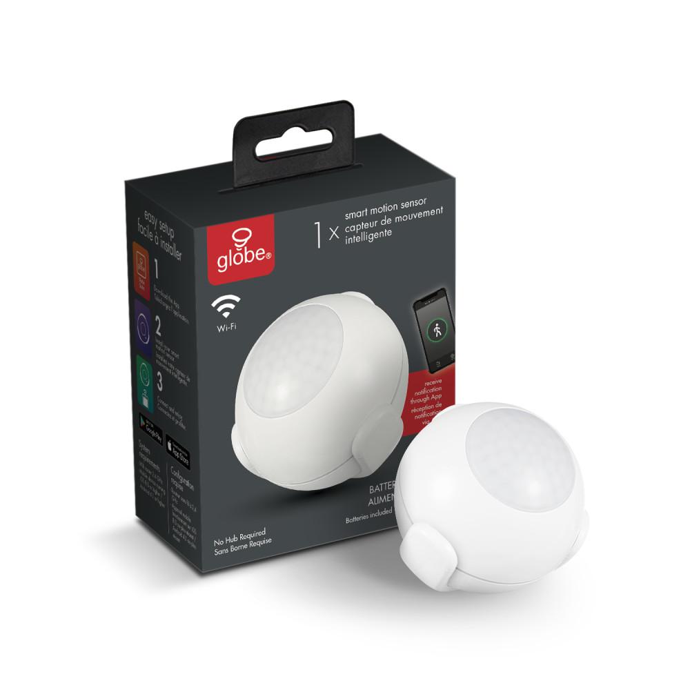 Electric Motion Sensors