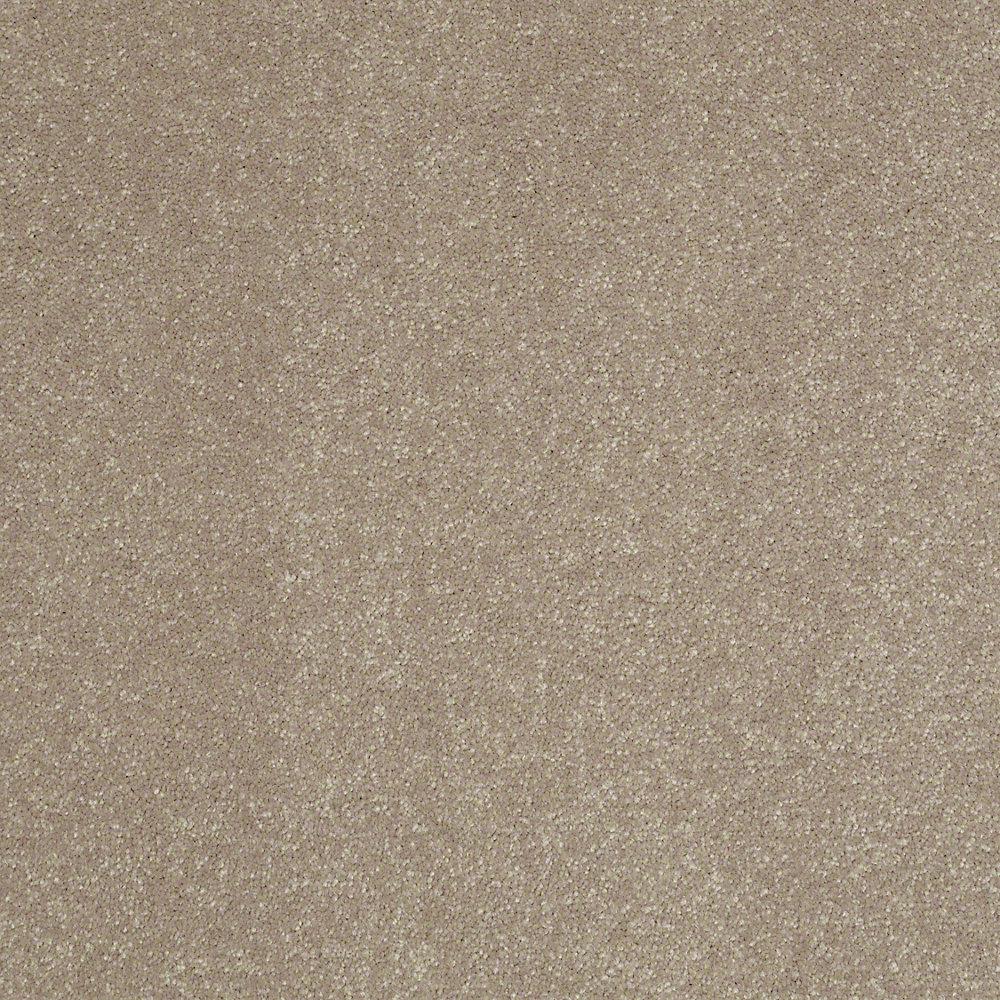 Home Decorators Collection Full Bloom I - Color Cafe Au Lait Texture 15 ...