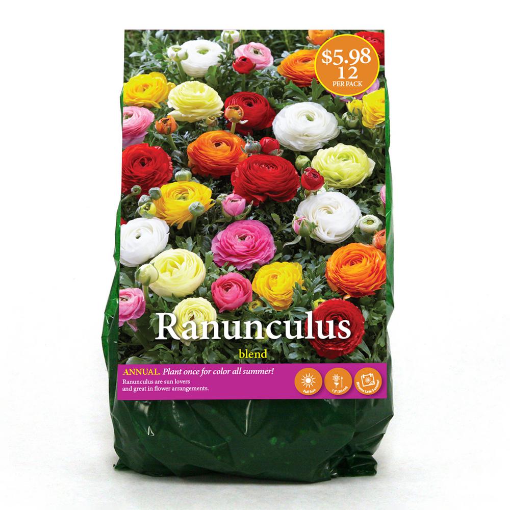 Ranunculus Blend Bulbs-34133 - The Home Depot