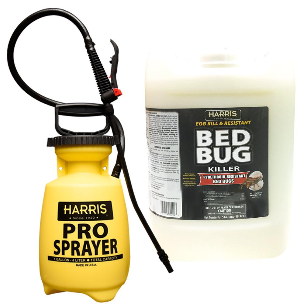 Harris 5 Gal. Ready-To-Use Egg Kill and Resistant Bed Bug Killer with ...