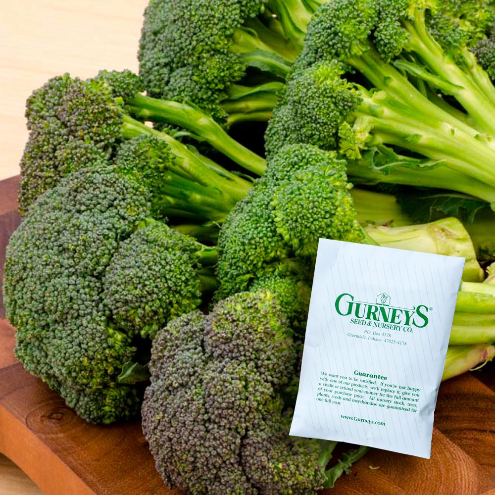 Gurney's Snow Pea Avalanche (225 Seed Packet)-76100 - The Home Depot