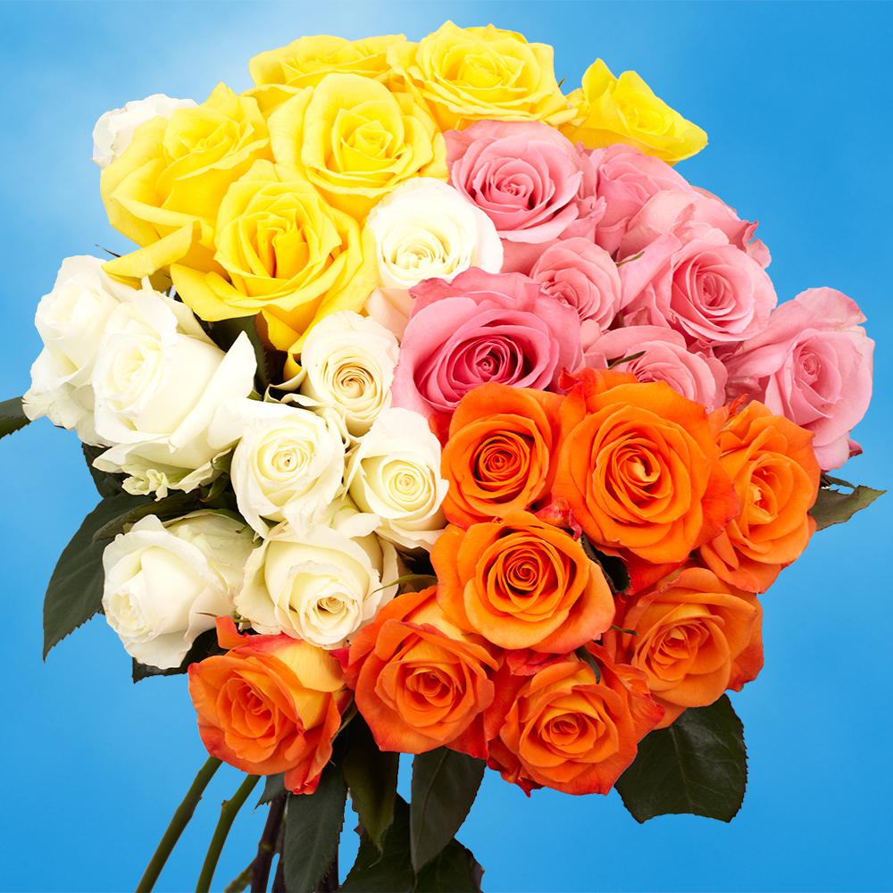 Globalrose 50 Stems of Assorted Colors Roses-50-assorted-roses-short ...