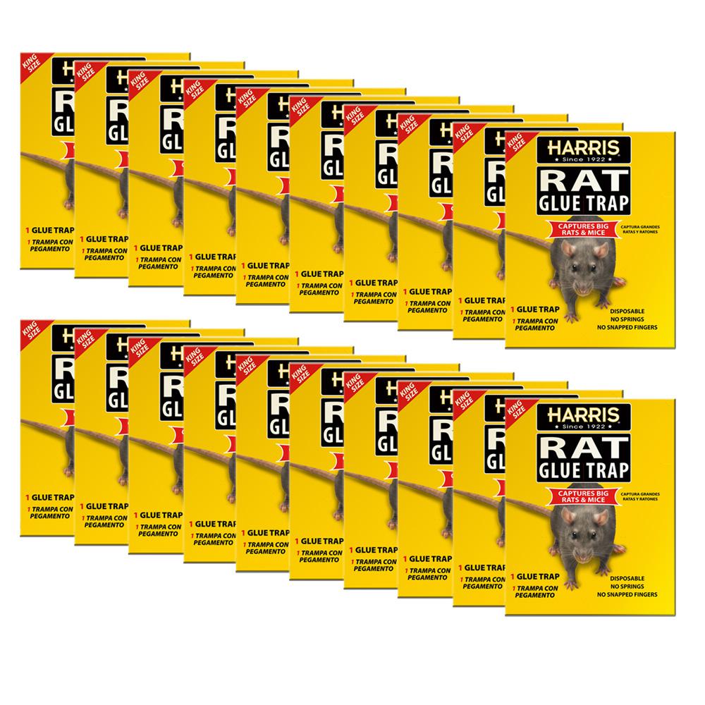 Harris King Size Rat and Mouse Glue Trap (20-Pack)-20KING-RAT - The ...
