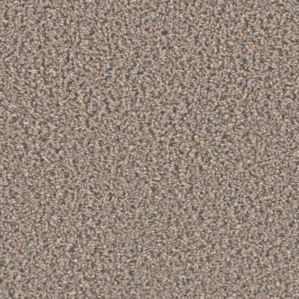 Trafficmaster Carpet
