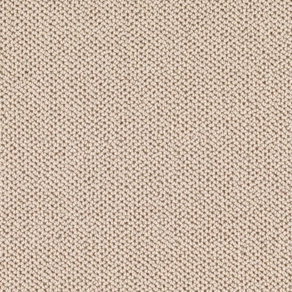 Trafficmaster Carpet