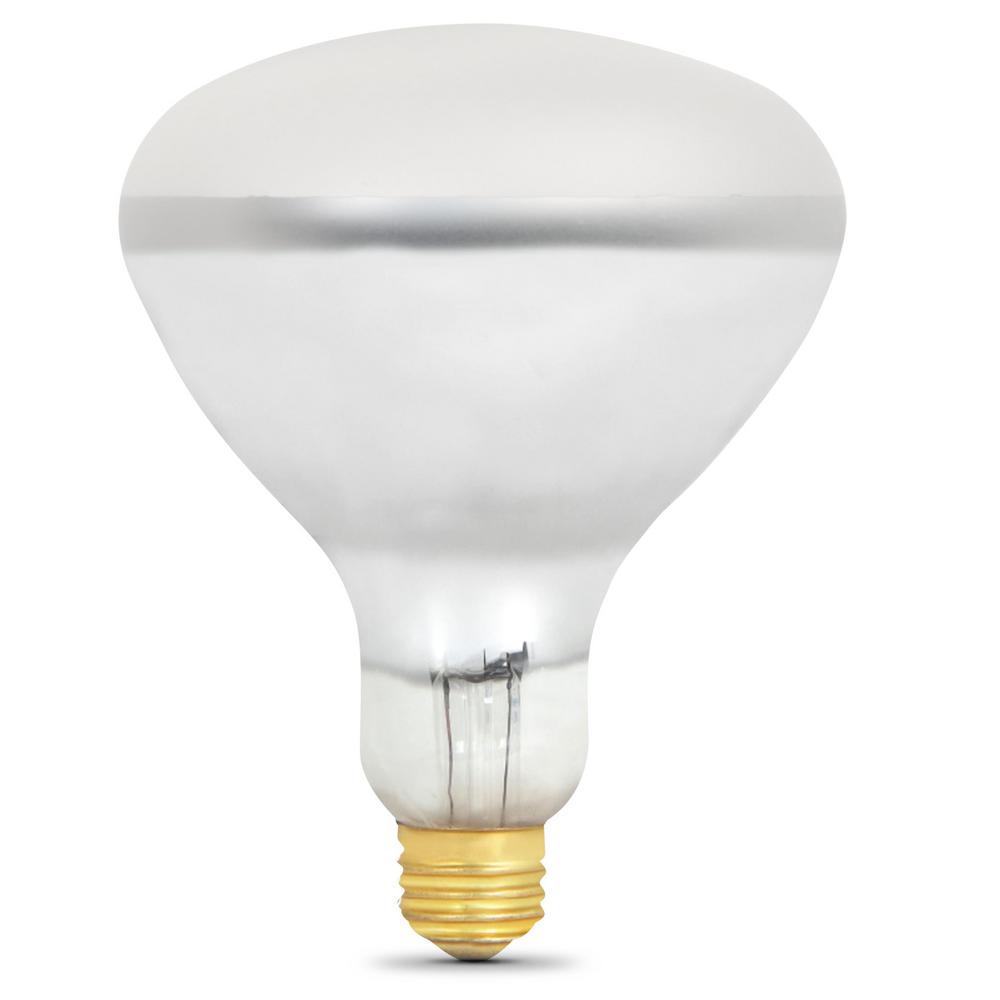 Feit Electric 300-Watt Soft White (2700K) R40 Dimmable Incandescent 130 ...