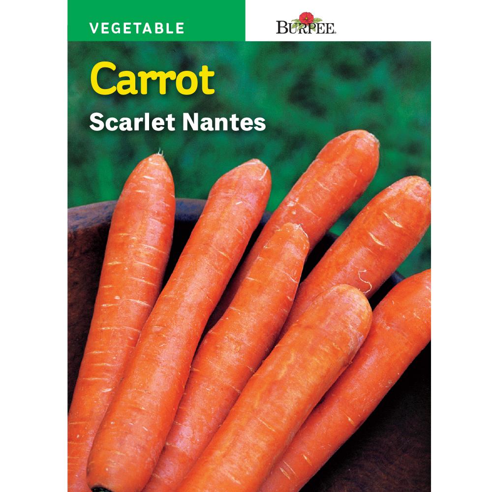 Burpee Carrot Nantes Half Long Seed-57141 - The Home Depot