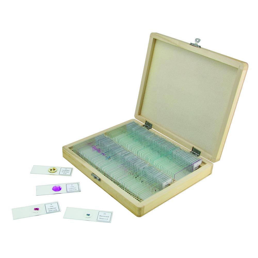 Prepared Microscope Slide Kit (100-Piece)-44412 - The Home Depot