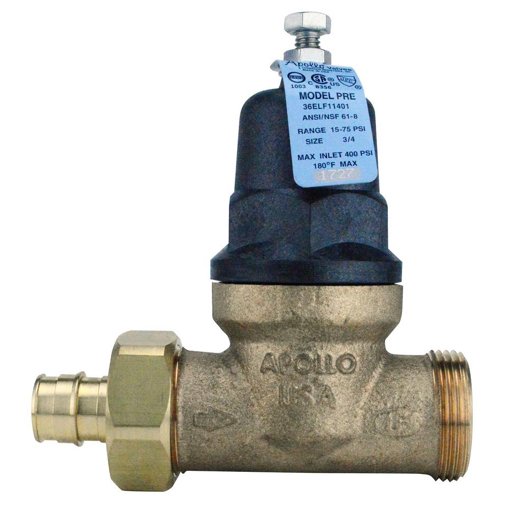 DIG 25 psi 3/4 in. Pipe Thread Pressure Regulator-D46P - The Home Depot