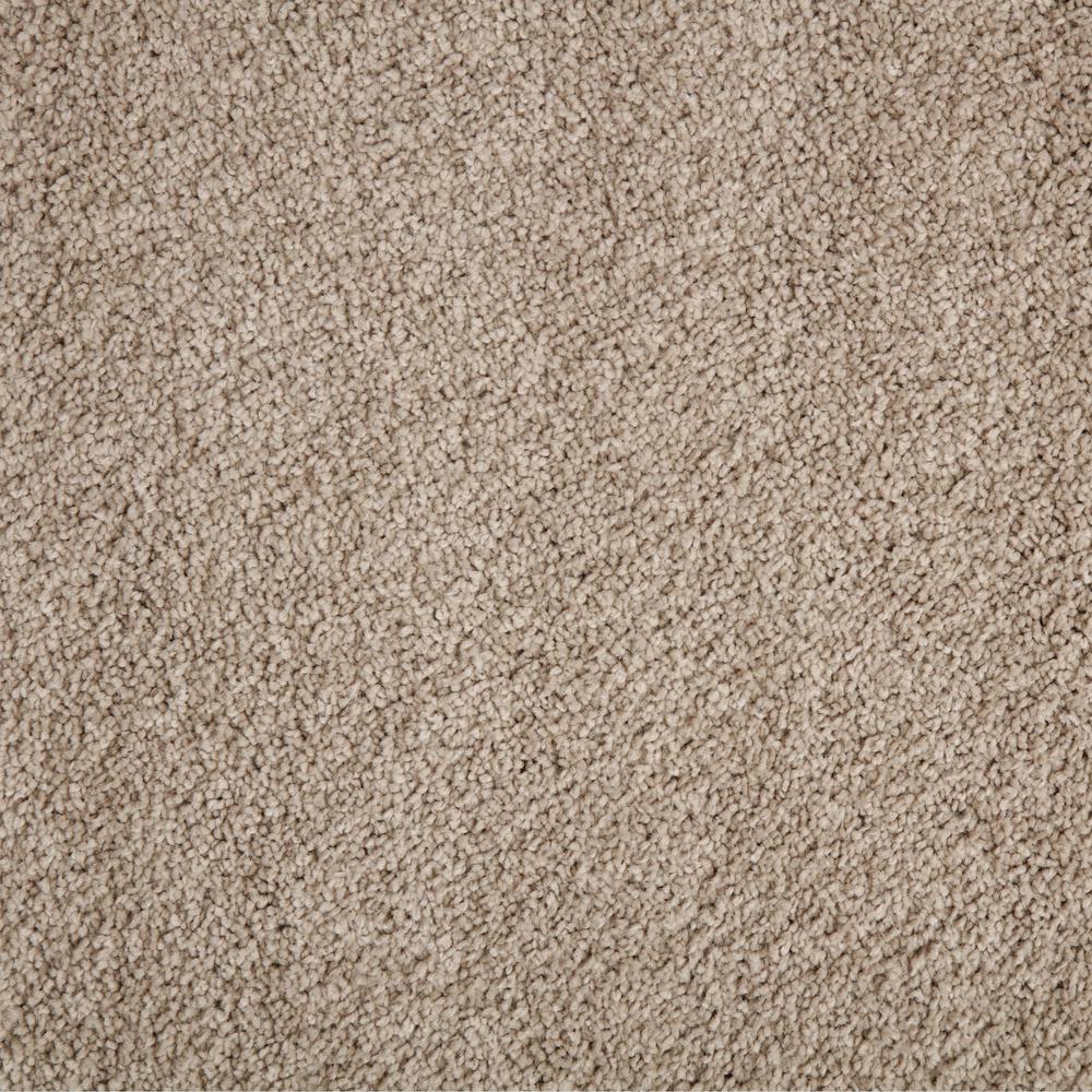 Lifeproof with PetProof Technology Carpet Sample - Collinger I Color ...