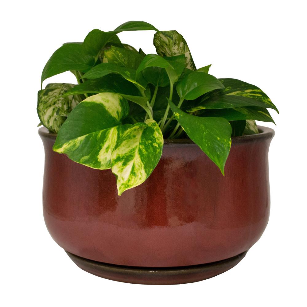 Red - Plant Pots - Planters - The Home Depot