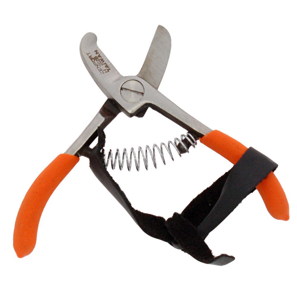 5 in. L Forged Stainless Steel Fuji/Orange Fruit Clippers with Strap ...
