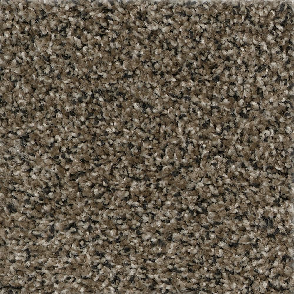 TrafficMaster Carpet Sample - Carousel - Color Roundabout Twist 8 in. x ...