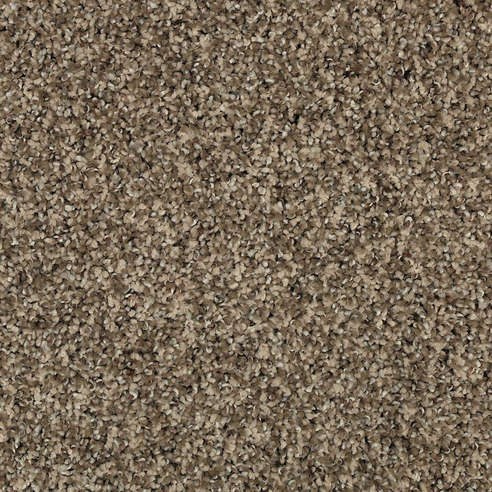 Carpet Color Samples