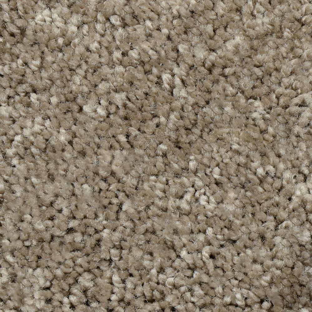 Home Decorators Collection Carpet Sample - Captivating - Color Eden ...