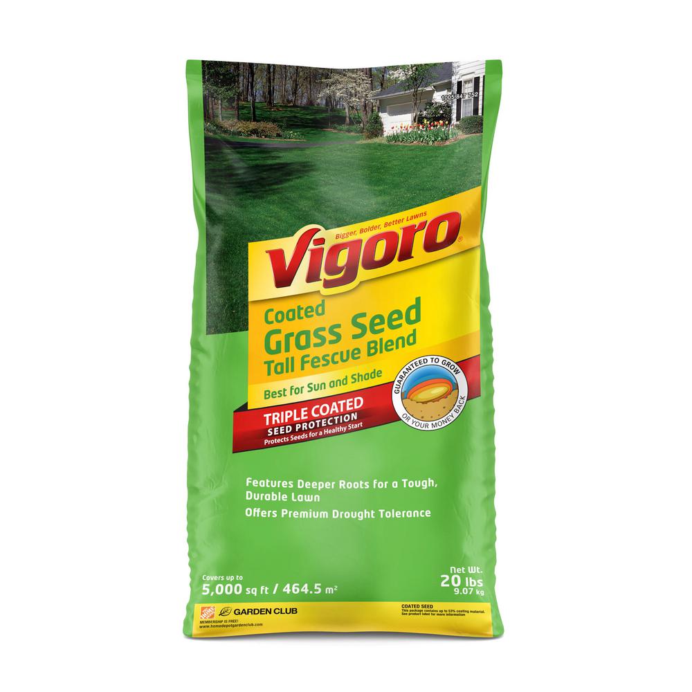 Vigoro 20 lbs. Tall Fescue Grass Seed Blend with Water Saver Seed ...